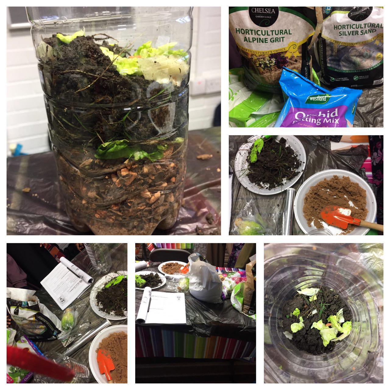 Exploring Earthworms- Miniature Ecosystem – The Tuition Club