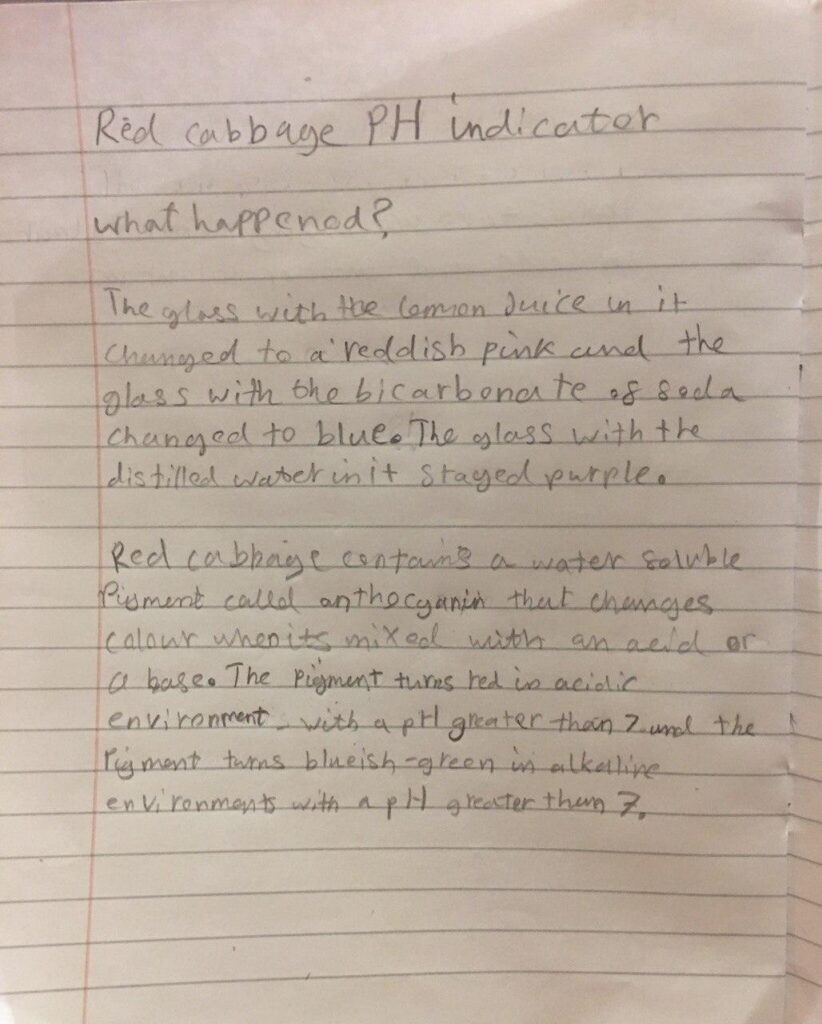 KS3 Science- Red Cabbage Ph Indicator Experiment! – The Tuition Club